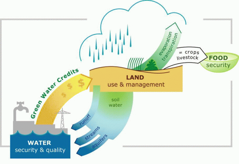 Green Water Credits Mechanism to support sustainable water use in ...